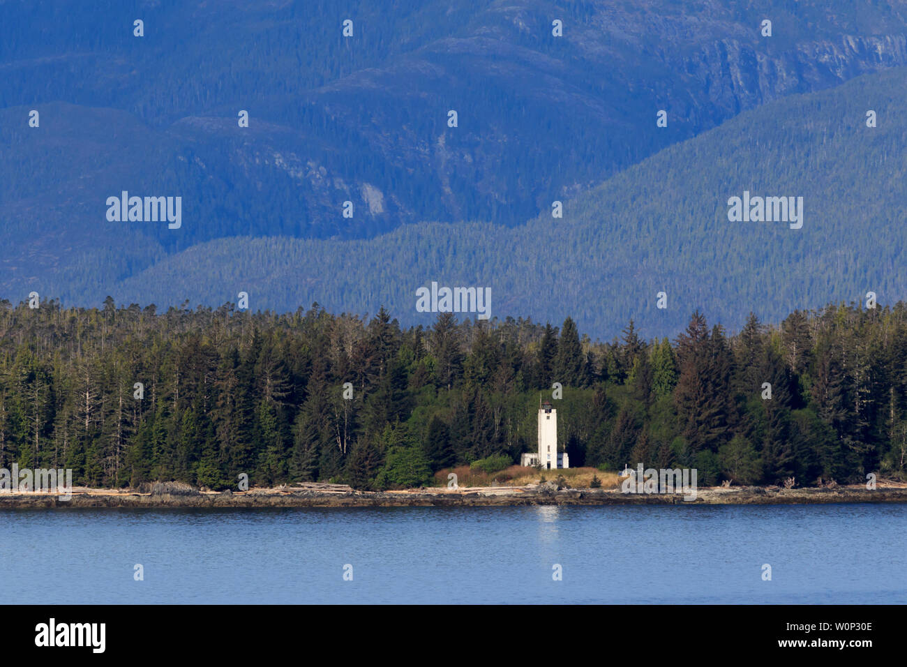 Tree point hi-res stock photography and images - Alamy
