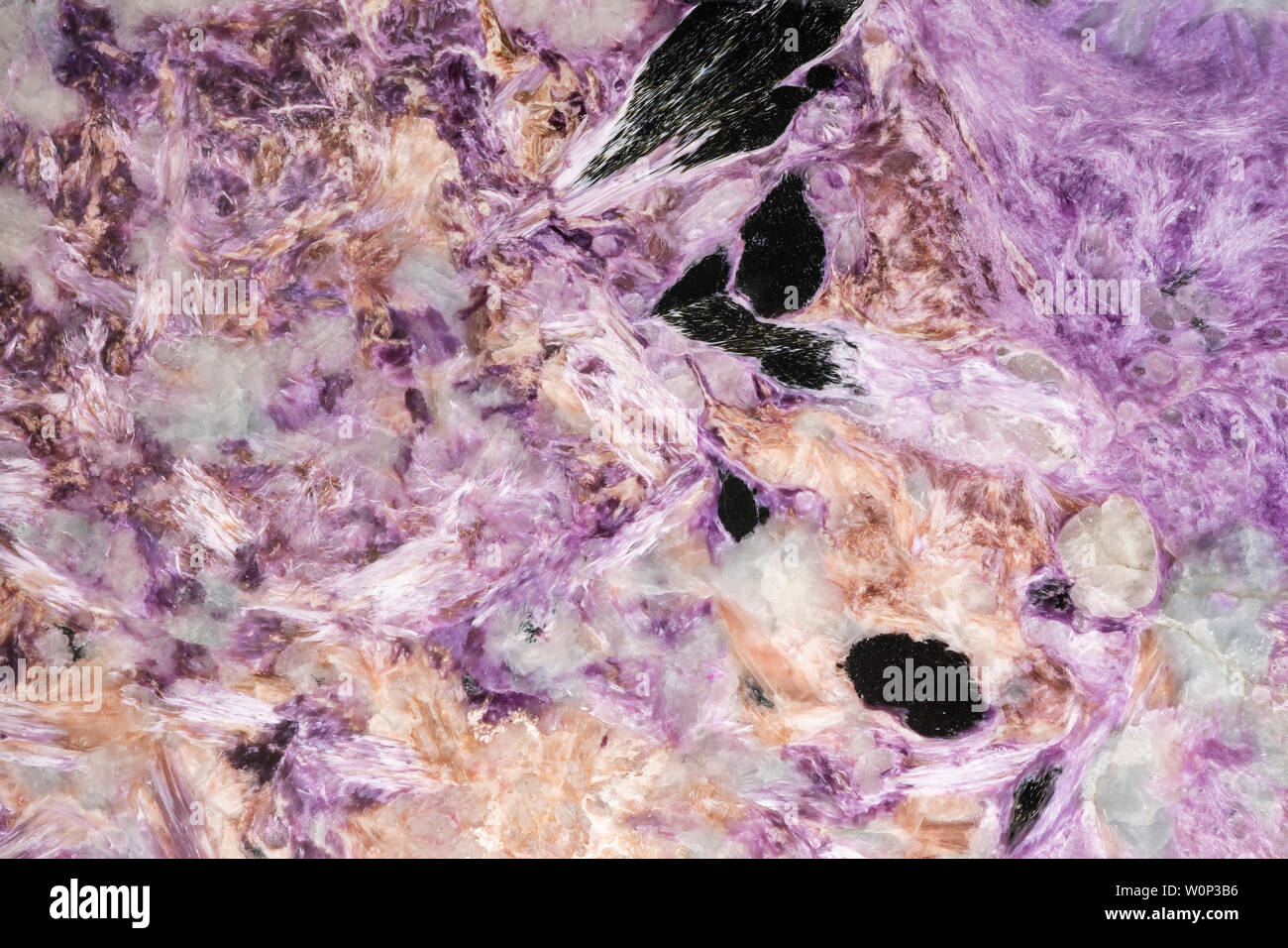 Murun hi-res stock photography and images - Alamy