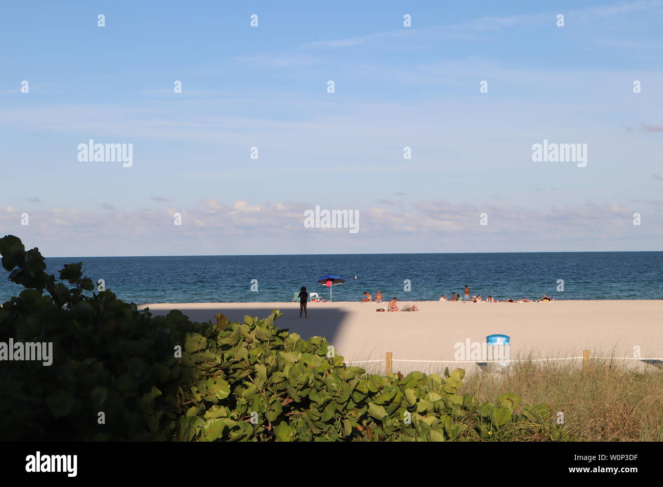 Miami landscape hi-res stock photography and images - Alamy