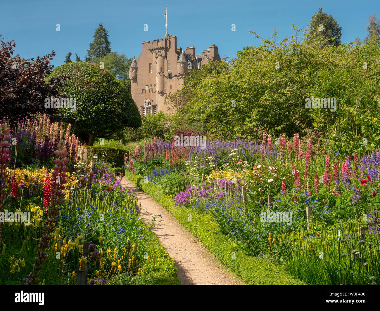 June borders hi-res stock photography and images - Alamy