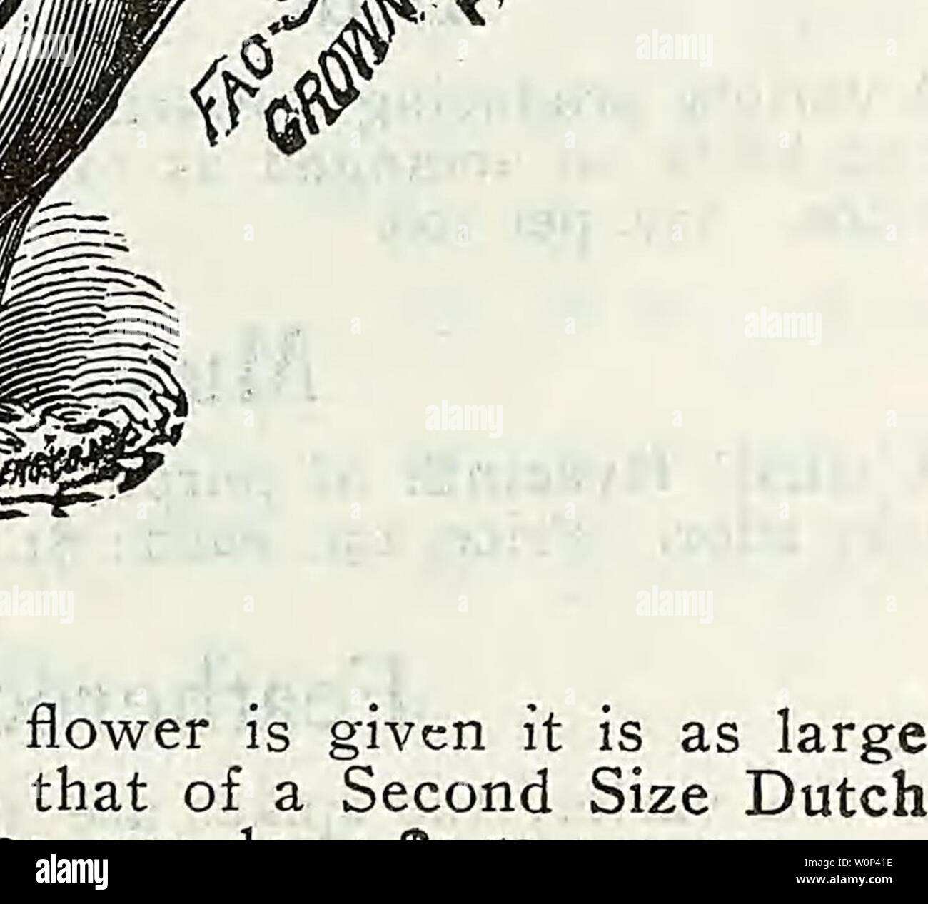 Archive image from page 4 of Descriptive catalogue of vegetable, flower ...
