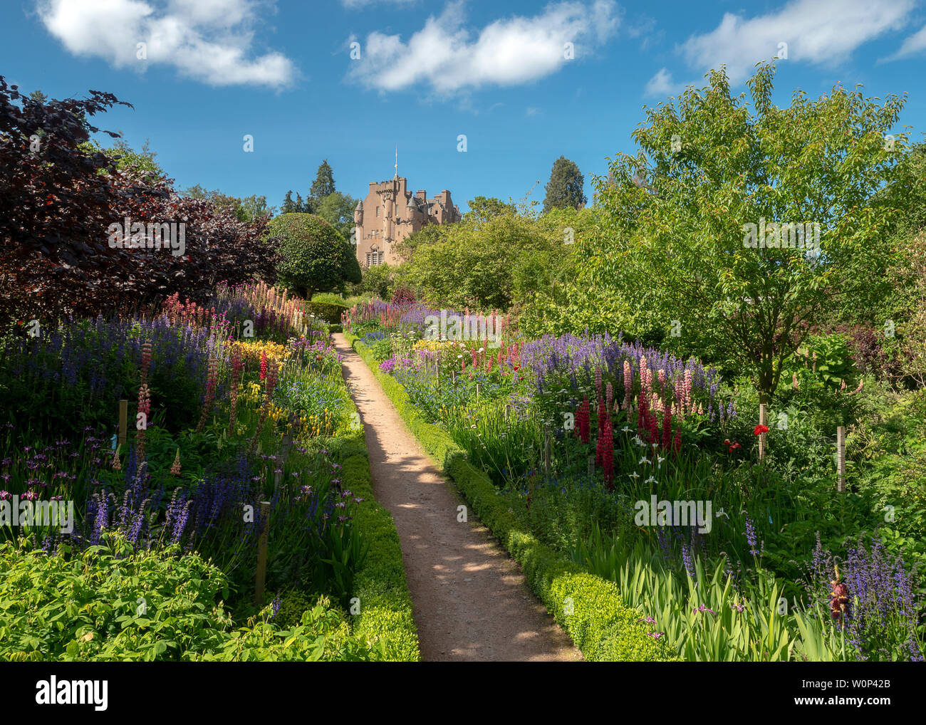 June borders hi-res stock photography and images - Alamy