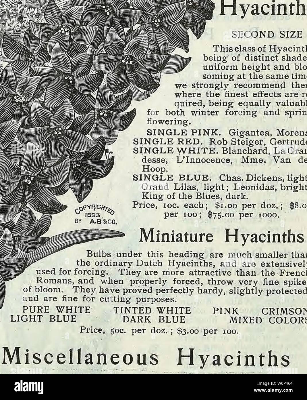 Archive image from page 5 of Descriptive catalogue of vegetable, flower ...