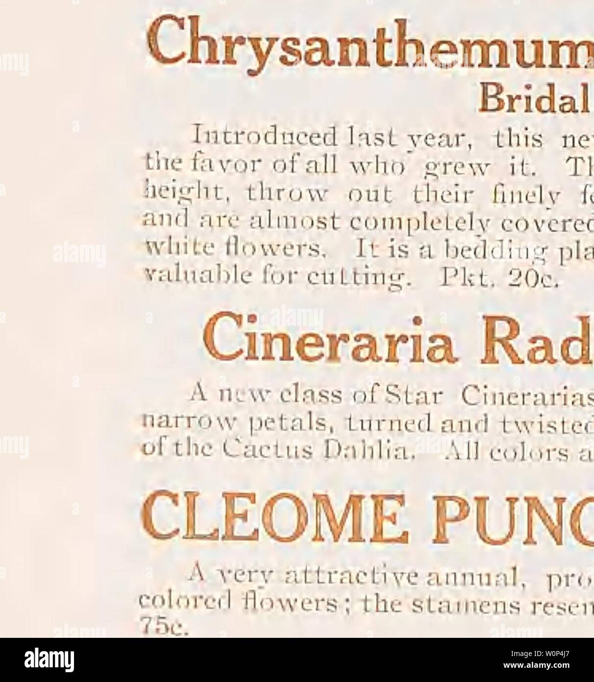 Archive image from page 7 of Descriptive catalogue of vegetable, flower ...