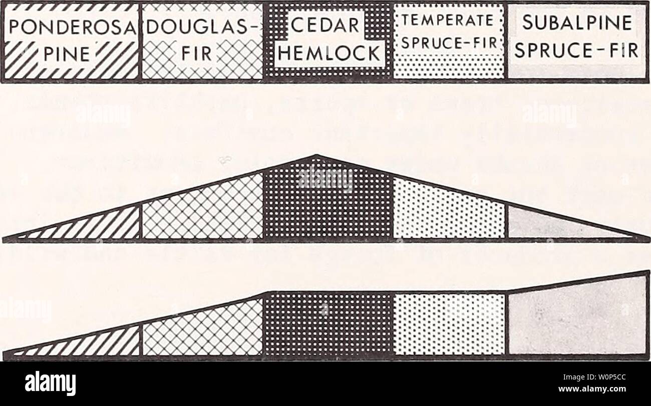Western larch drawing hi-res stock photography and images - Alamy