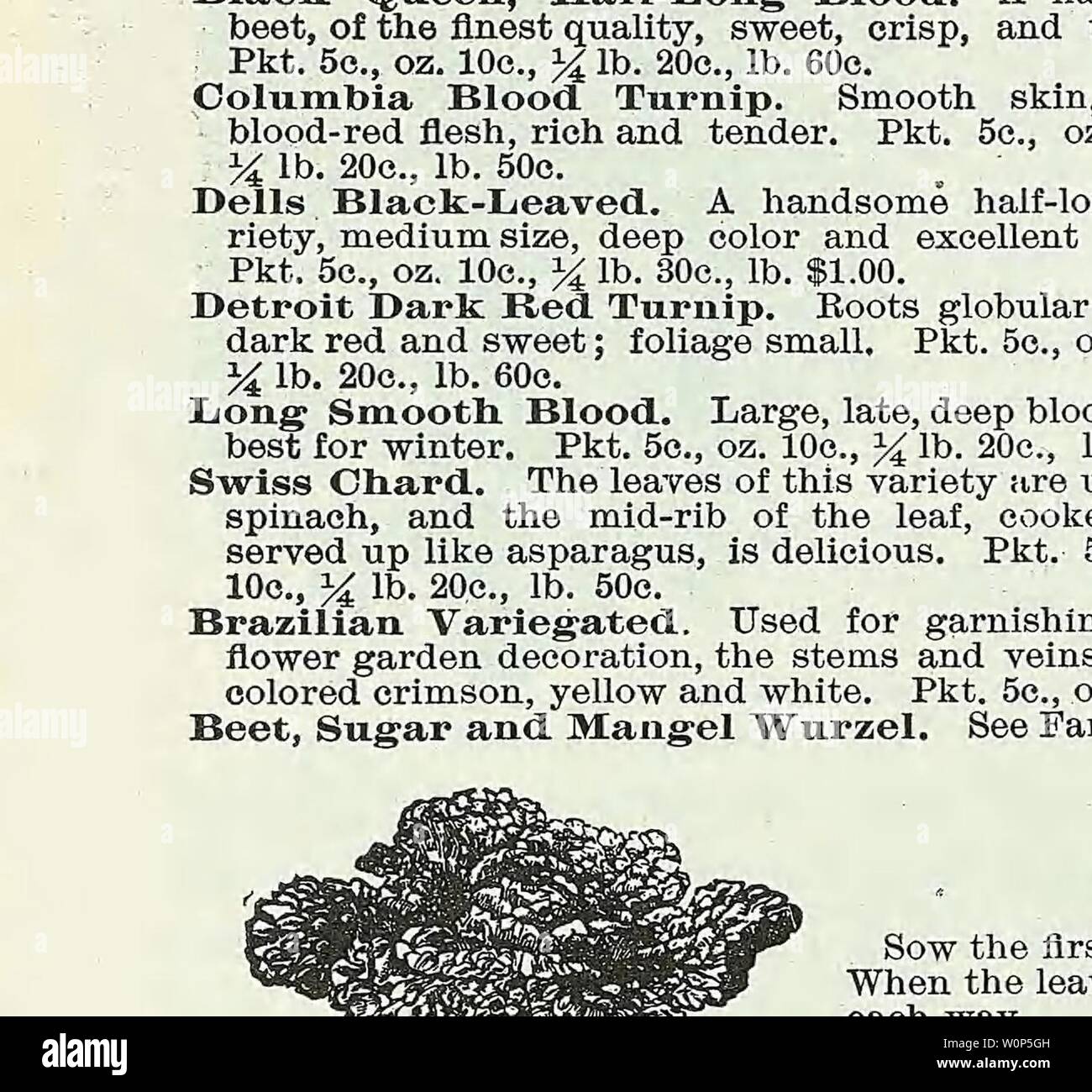 Archive image from page 13 of Descriptive catalogue of vegetable ...