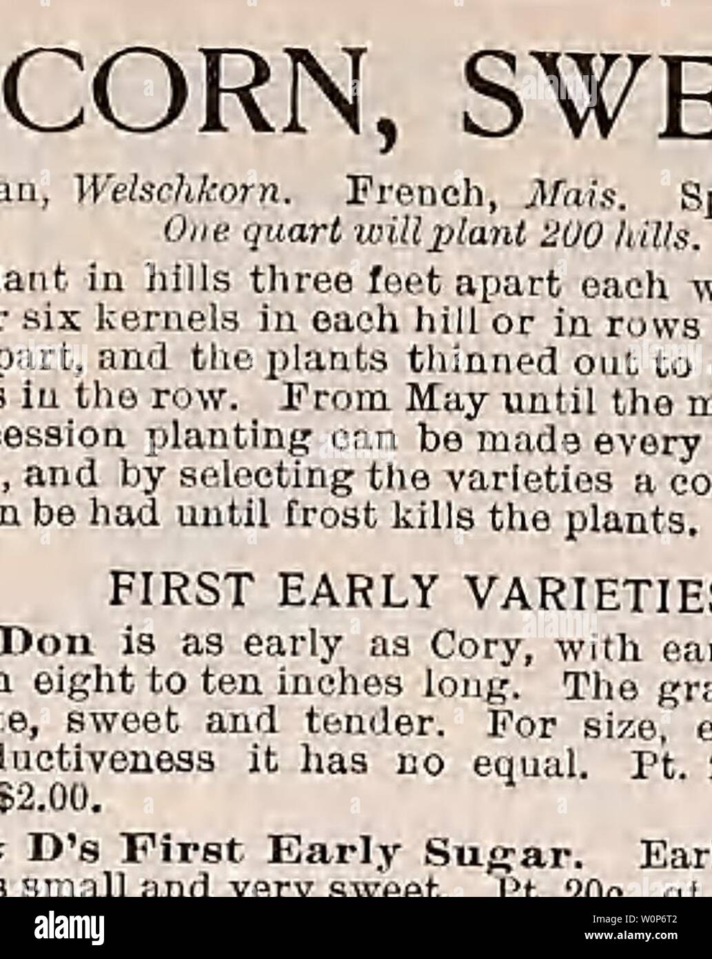 Archive image from page 18 of Descriptive catalogue of vegetable ...