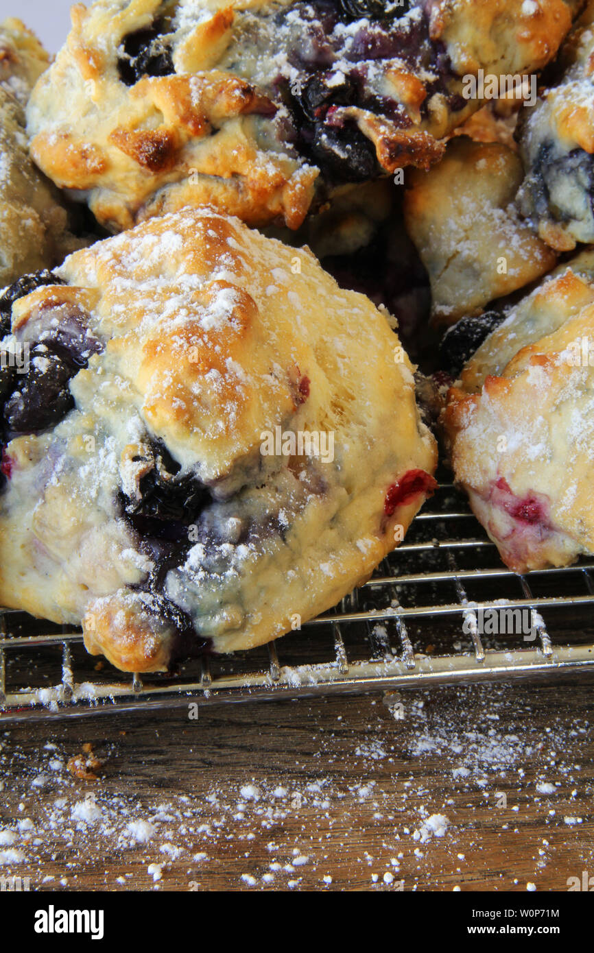 food shots of all kinds Stock Photo - Alamy