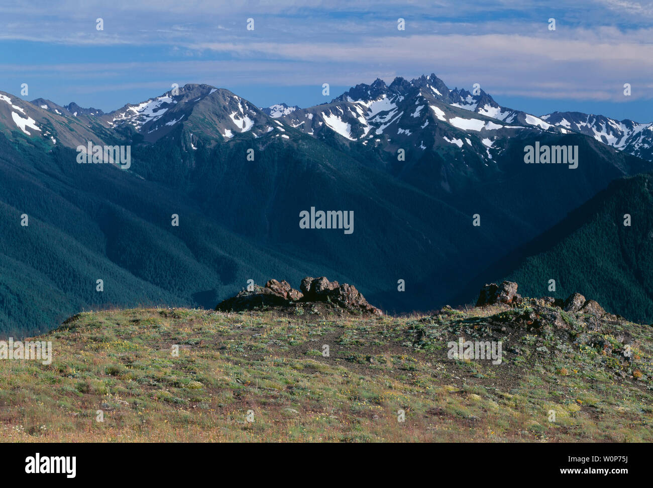 USA, Washington, Olympic National Park, Mt. Deception (top left) rises ...