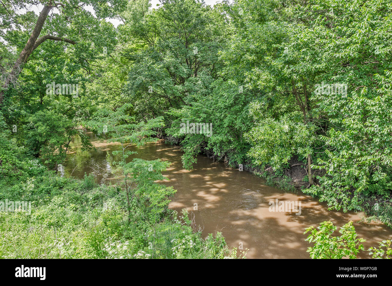 Trees hanging over a river hi-res stock photography and images - Alamy