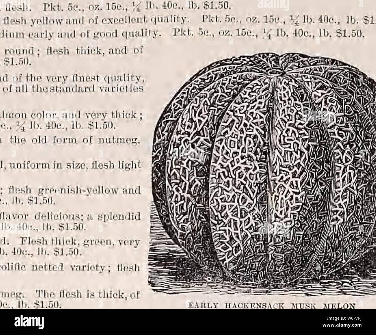 Archive image from page 21 of Descriptive catalogue of vegetable ...