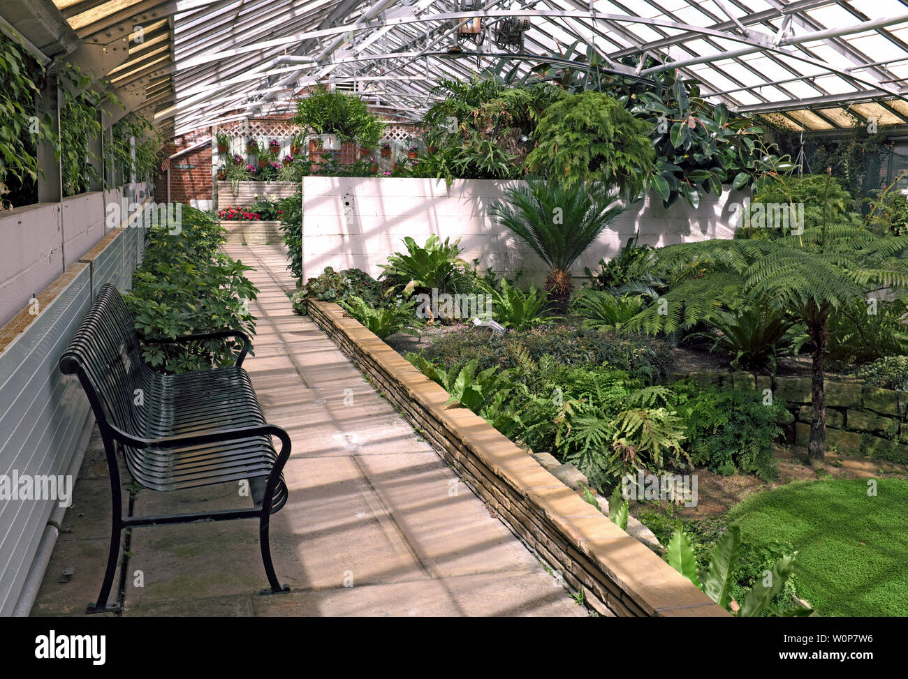 The rockefeller park greenhouse hi-res stock photography and images - Alamy