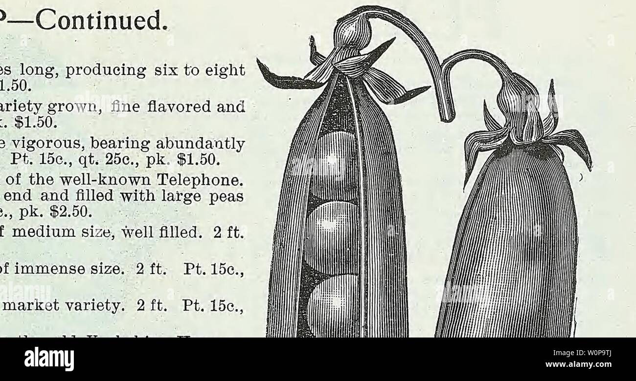 Archive image from page 27 of Descriptive catalogue of vegetable ...