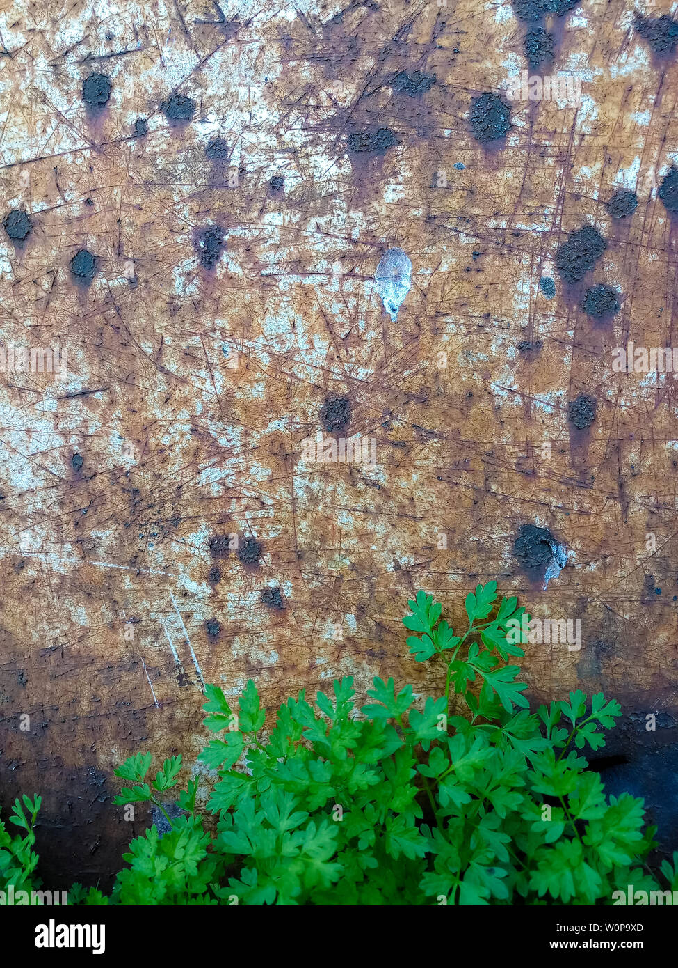 Texture of old shabby rusty metal surface. Cracks, scrapes and of ...