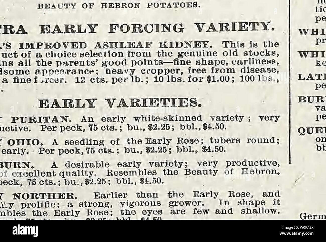 Archive image from page 28 of Descriptive catalogue of vegetable ...