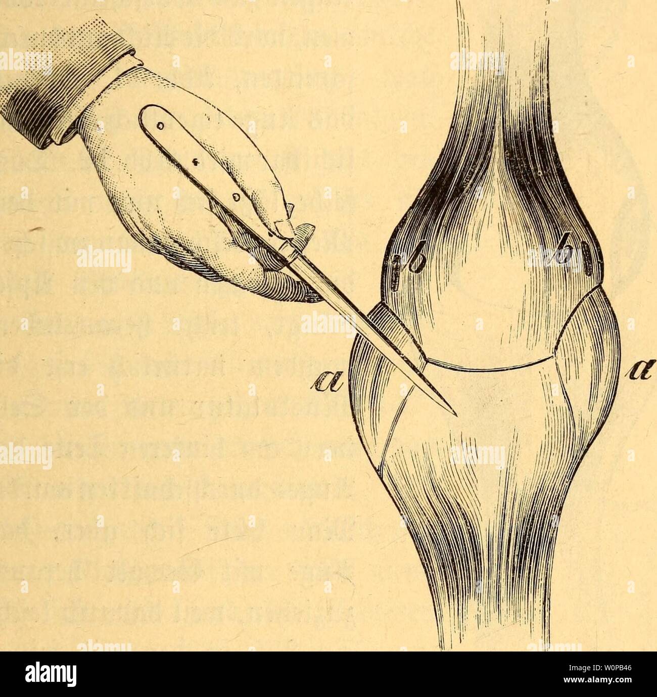 Konservator hi-res stock photography and images - Alamy