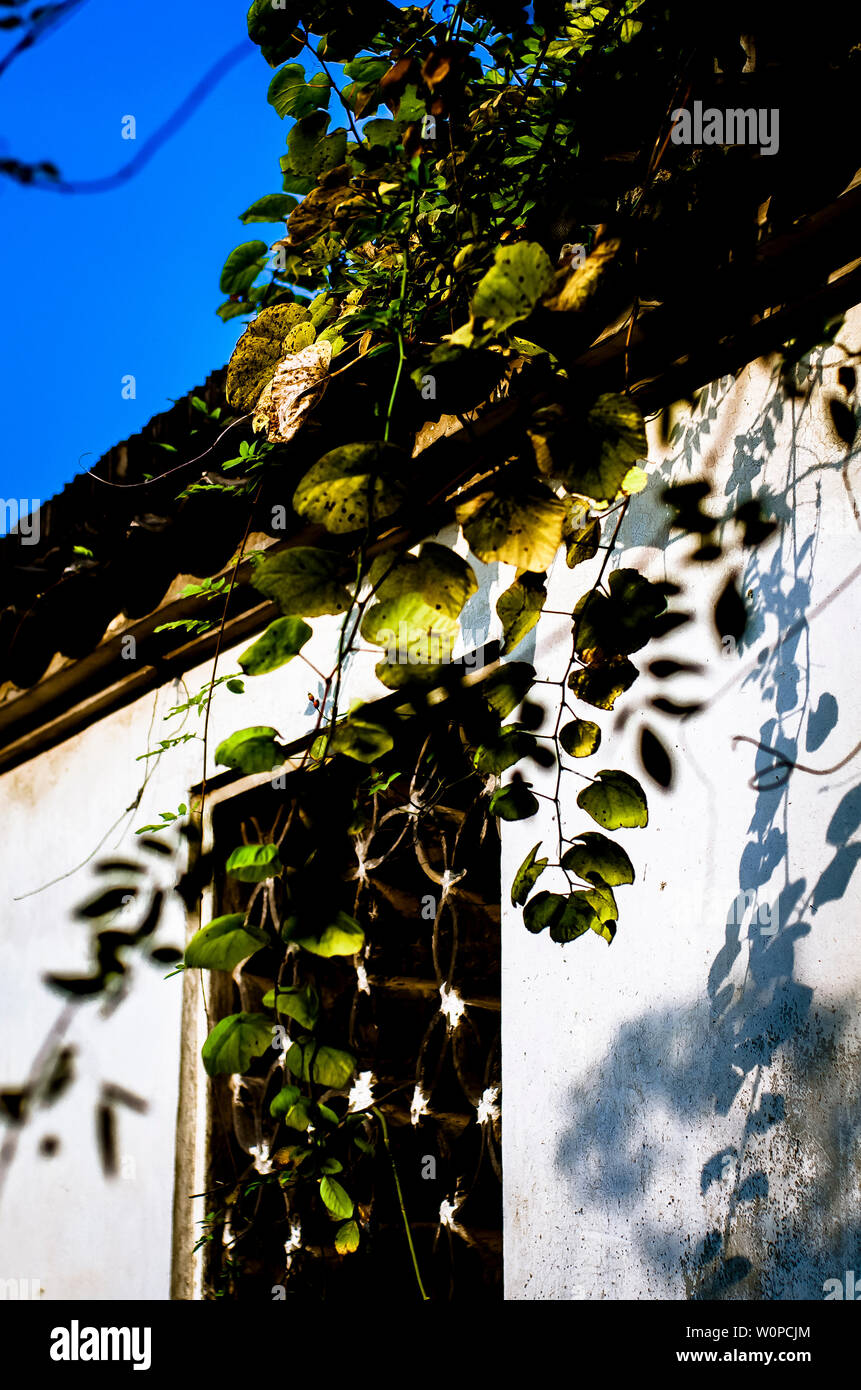 Autumn Color in Suzhou Garden Stock Photo - Alamy