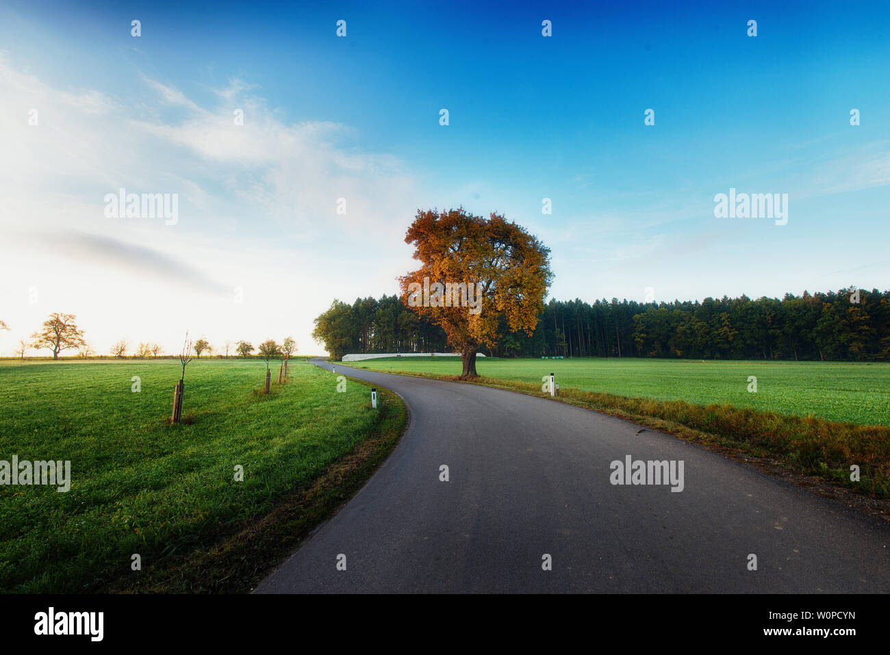 An empty road in autumn, far away Stock Photo - Alamy