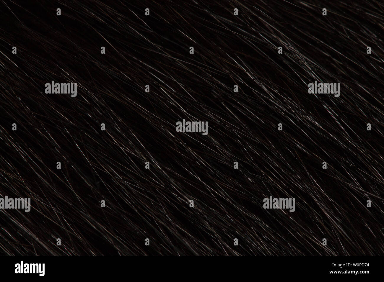 Heir style hi-res stock photography and images - Alamy