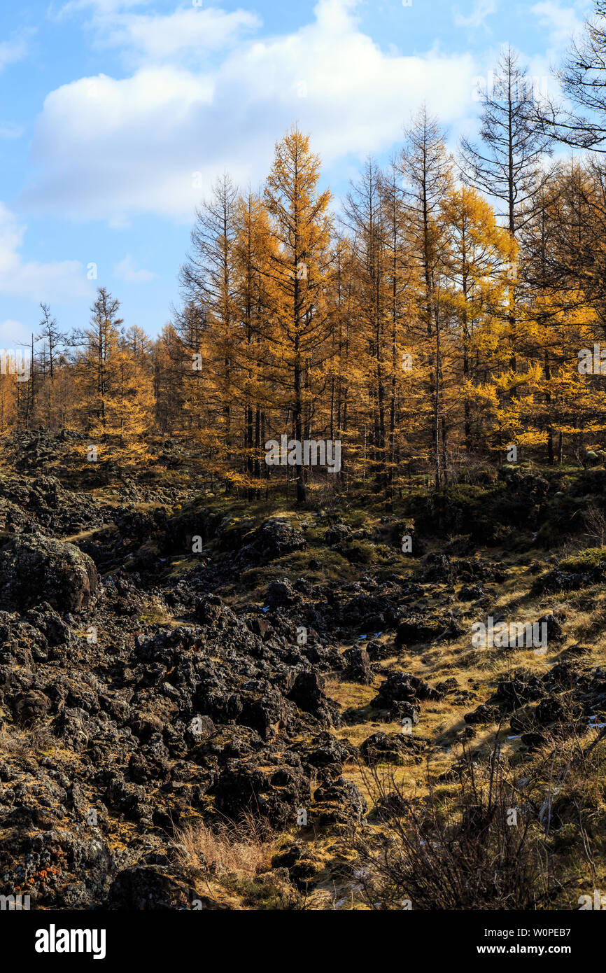 Endemic geomorphology of Alshan Stock Photo - Alamy