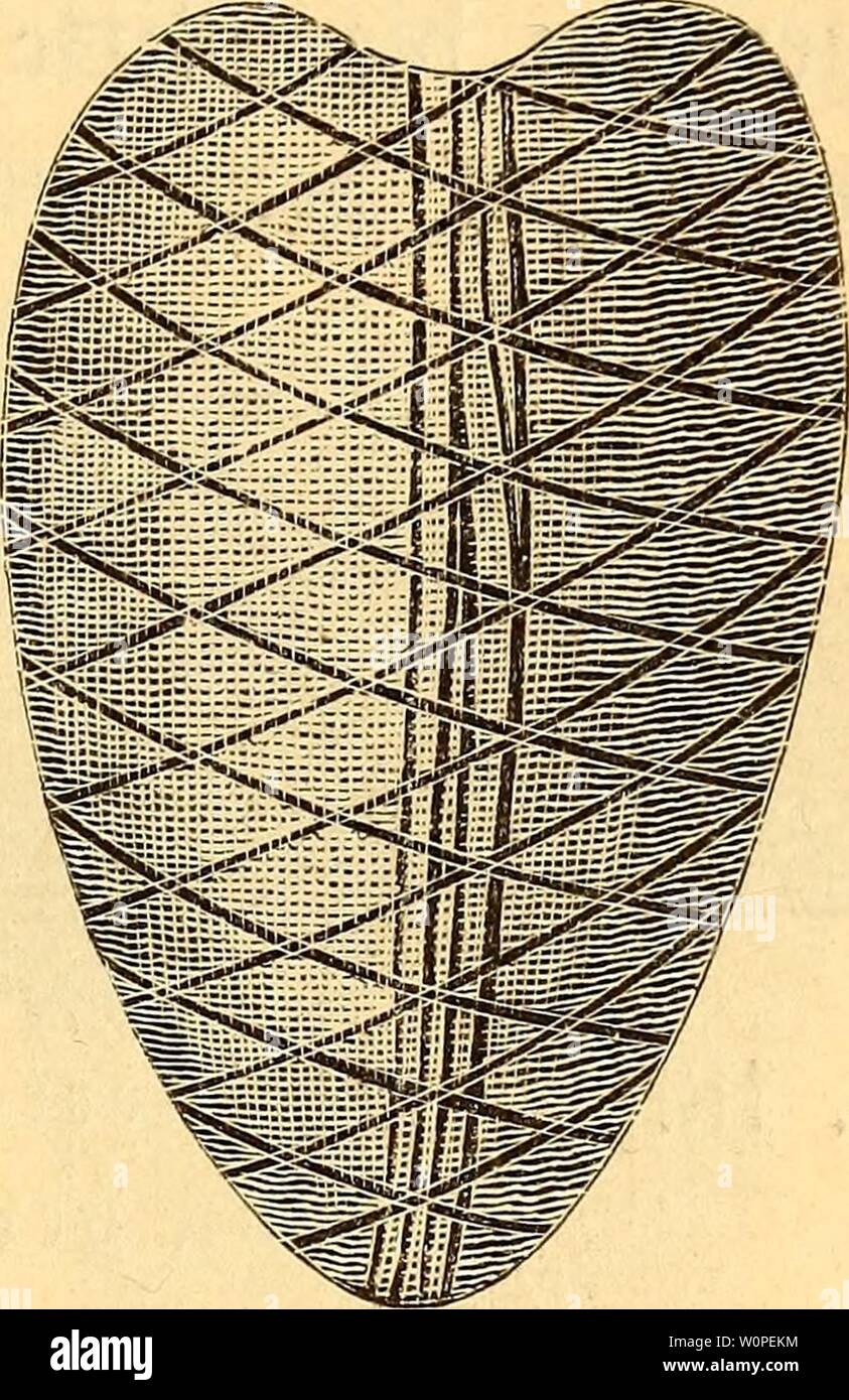 Konservator hi-res stock photography and images - Alamy