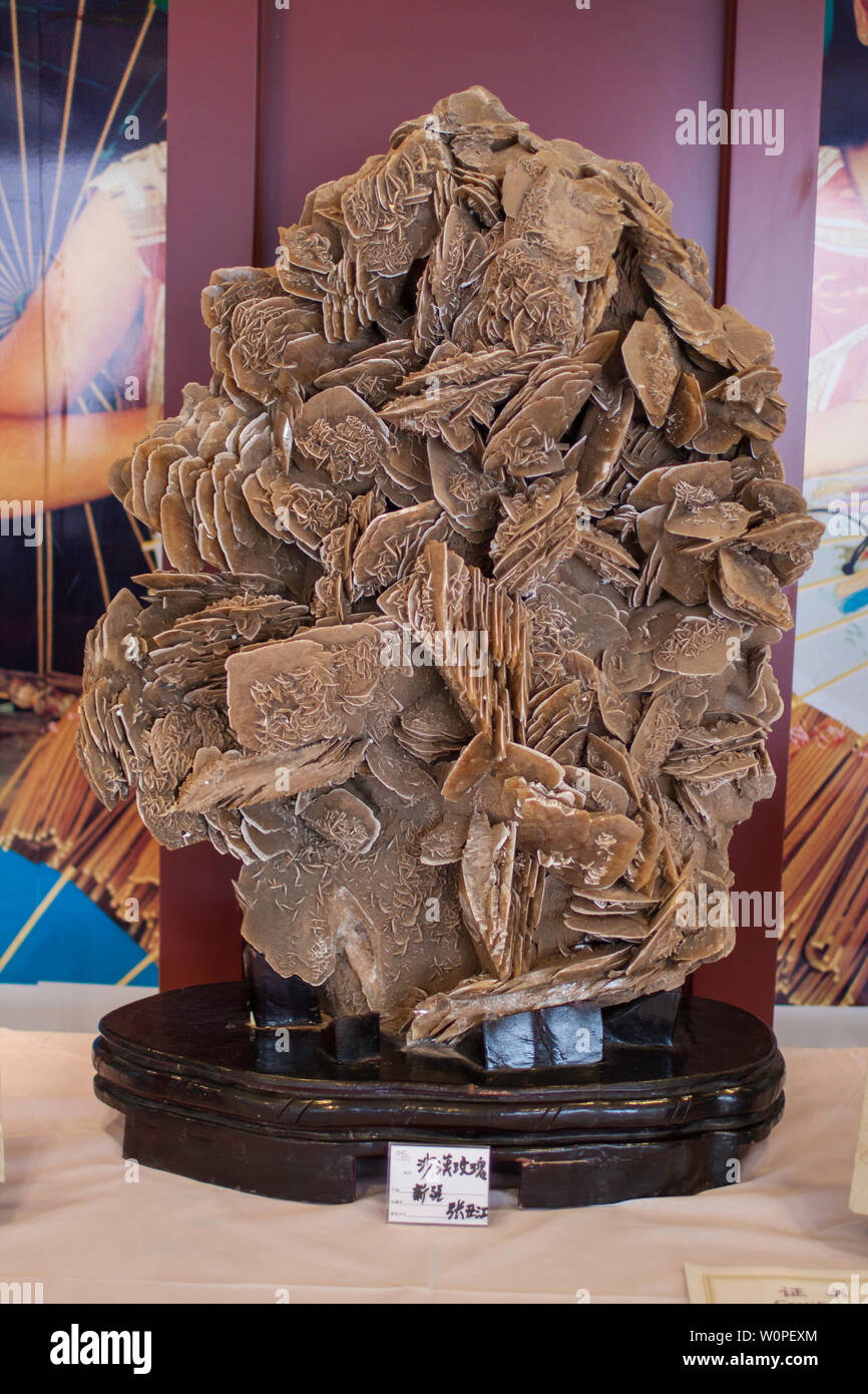 Human fossils hi-res stock photography and images - Alamy