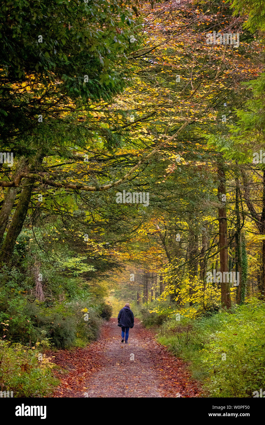 Alone and enjoying hi-res stock photography and images - Alamy