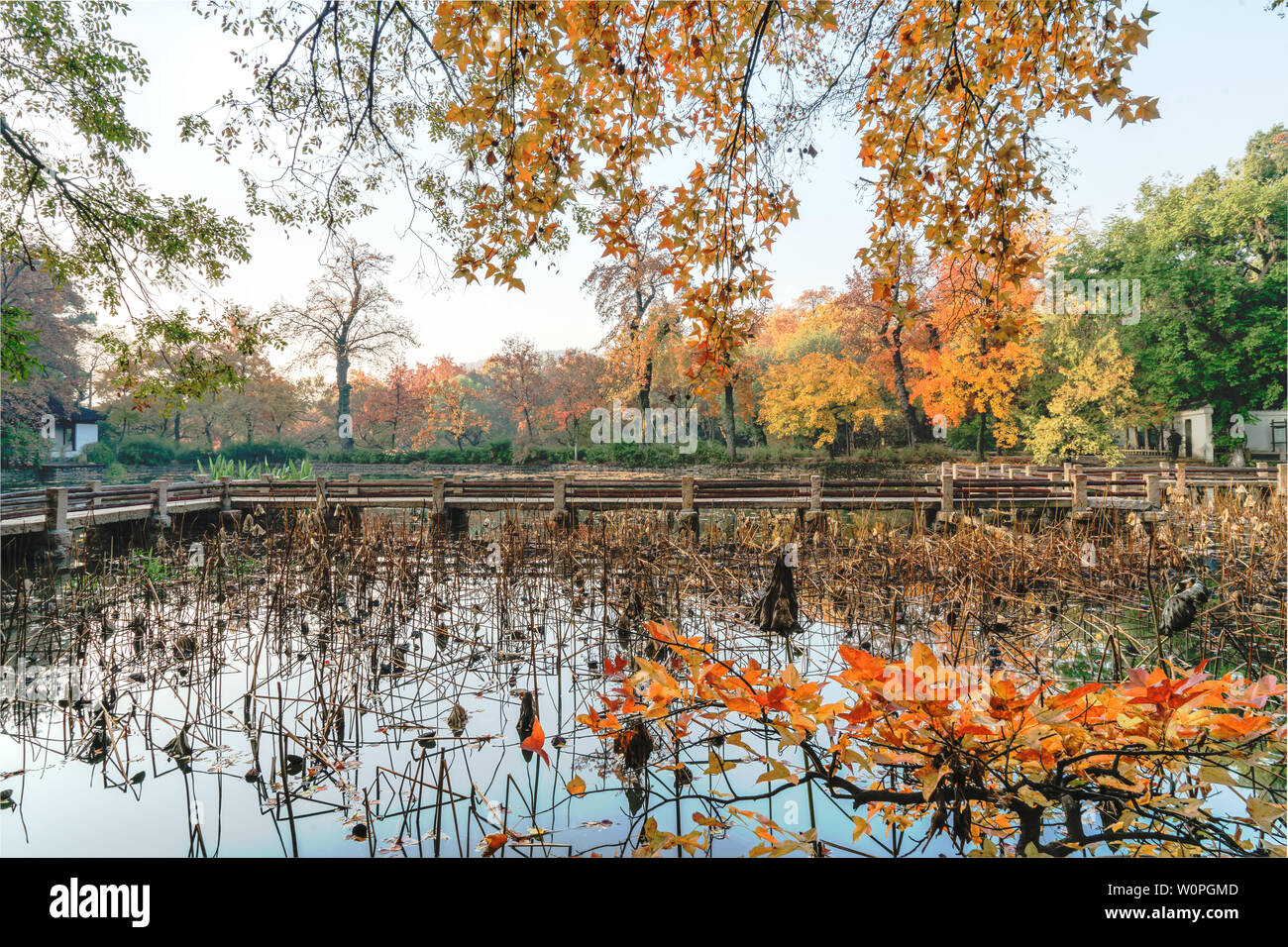 Autumn Park, Tianping Mountain, Suzhou Stock Photo - Alamy