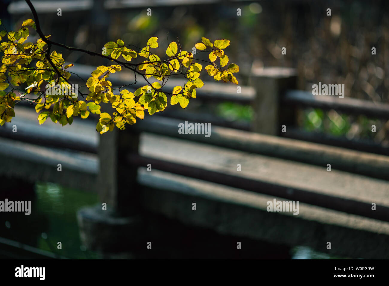 Tianping road hi-res stock photography and images - Alamy