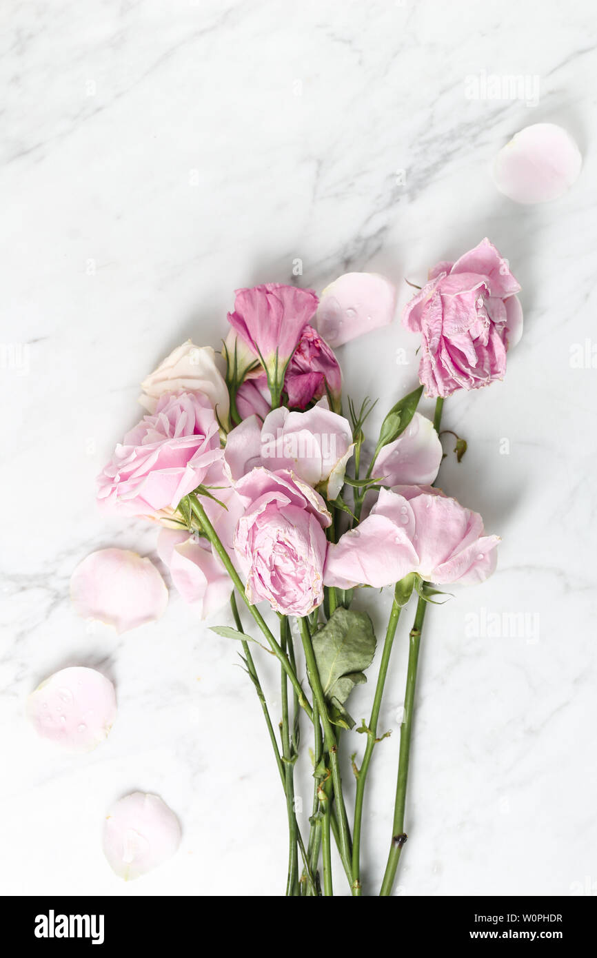 Background of withered flowers Stock Photo - Alamy
