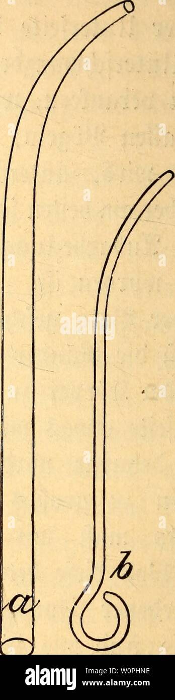 Konservator hi-res stock photography and images - Alamy