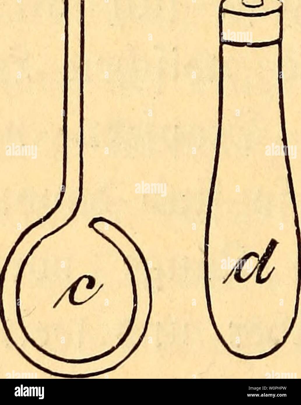 Konservator hi-res stock photography and images - Alamy