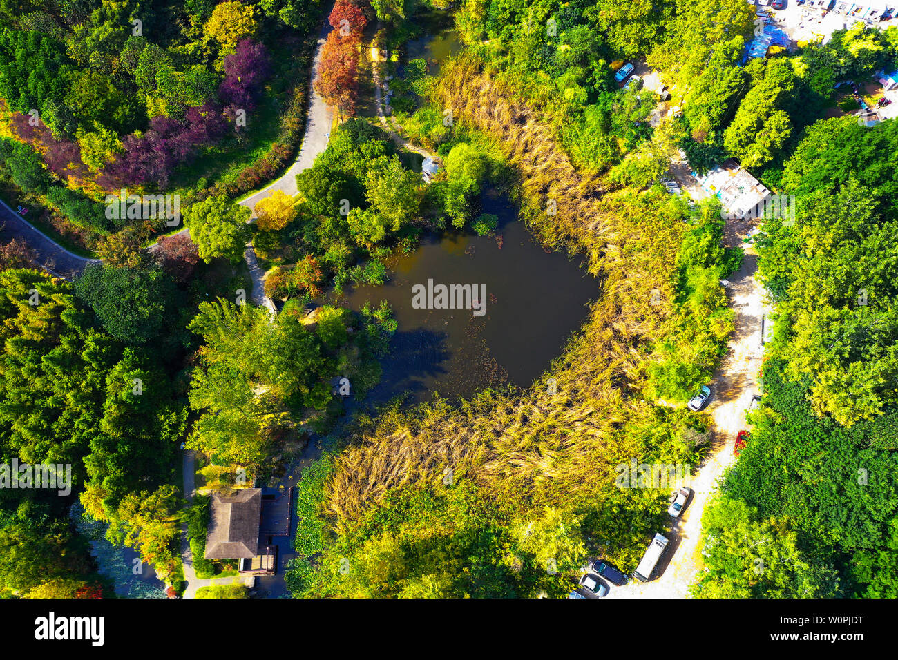 Autumn scenery of Nanjing Yuhuatai Scenic Area Stock Photo - Alamy