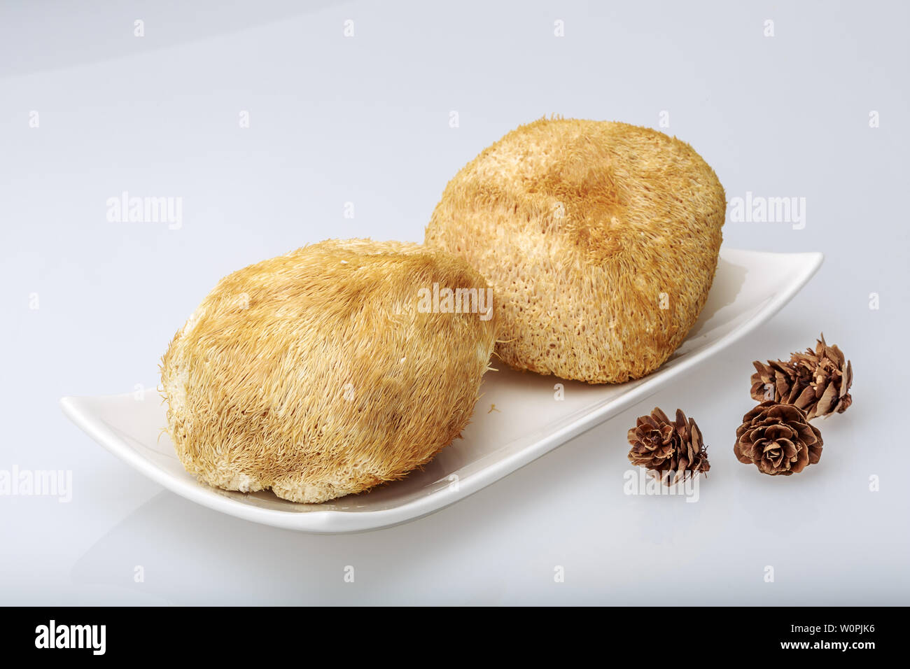 Monkey head mushrooms hi-res stock photography and images - Alamy