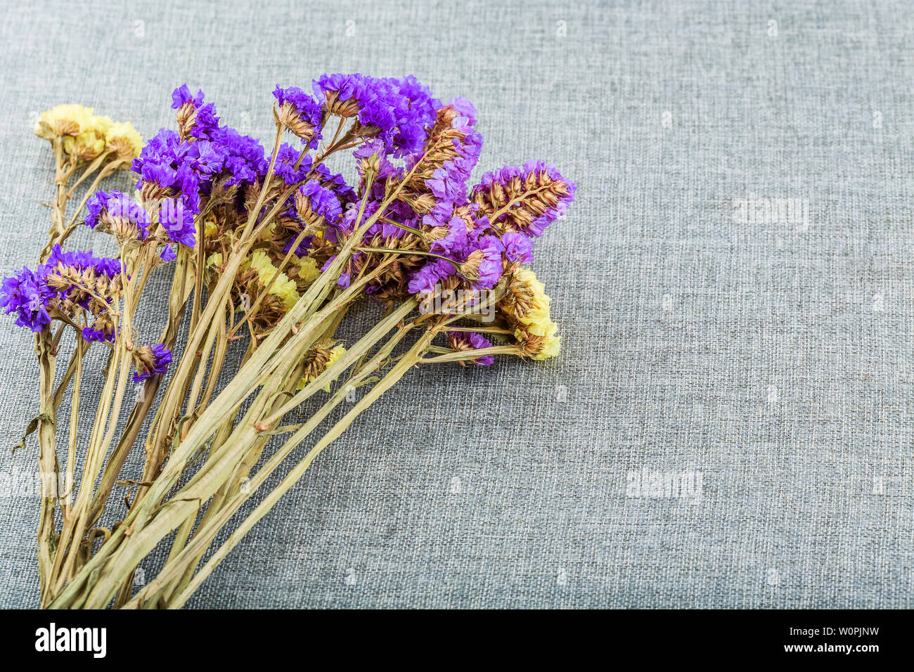 Dry flower background material Stock Photo - Alamy