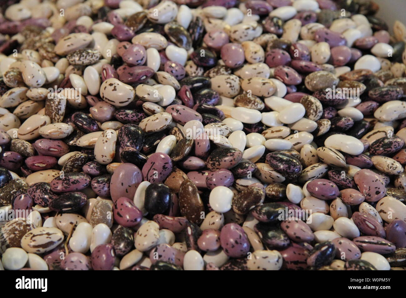 Vegetables and beans hi-res stock photography and images - Alamy