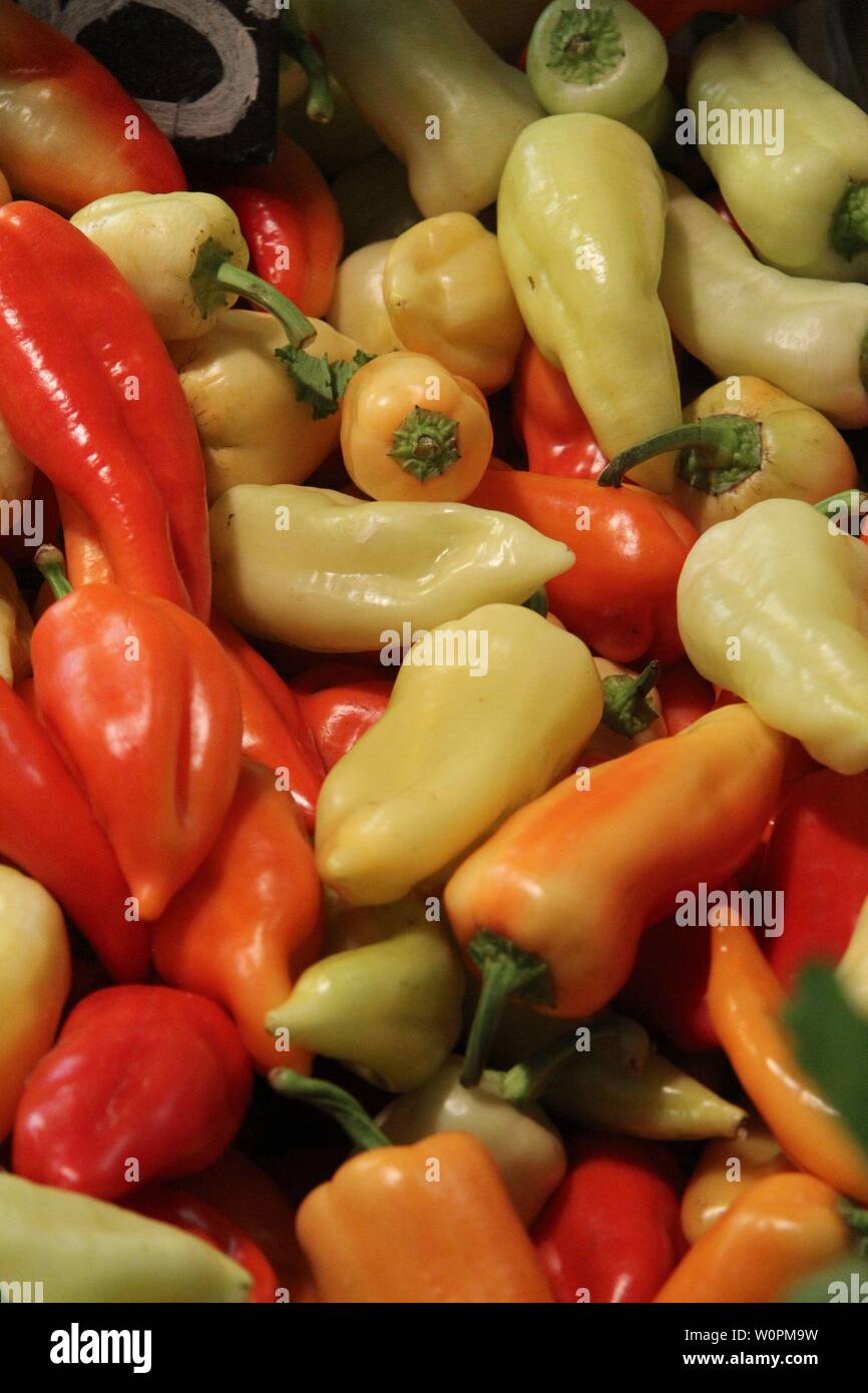 multiple capsicums at a market Stock Photo - Alamy