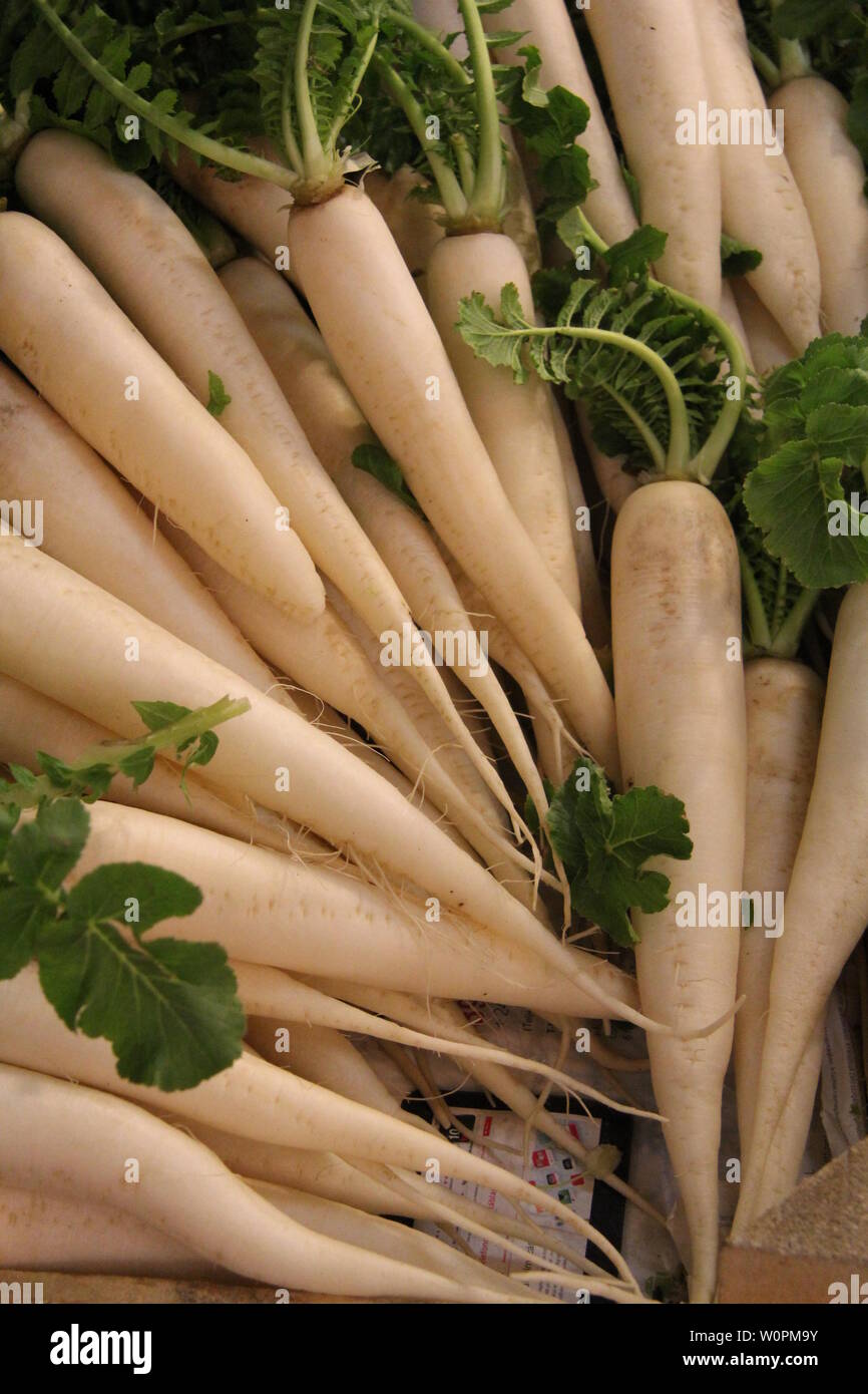 white carrots or parsnips at a market Stock Photo - Alamy