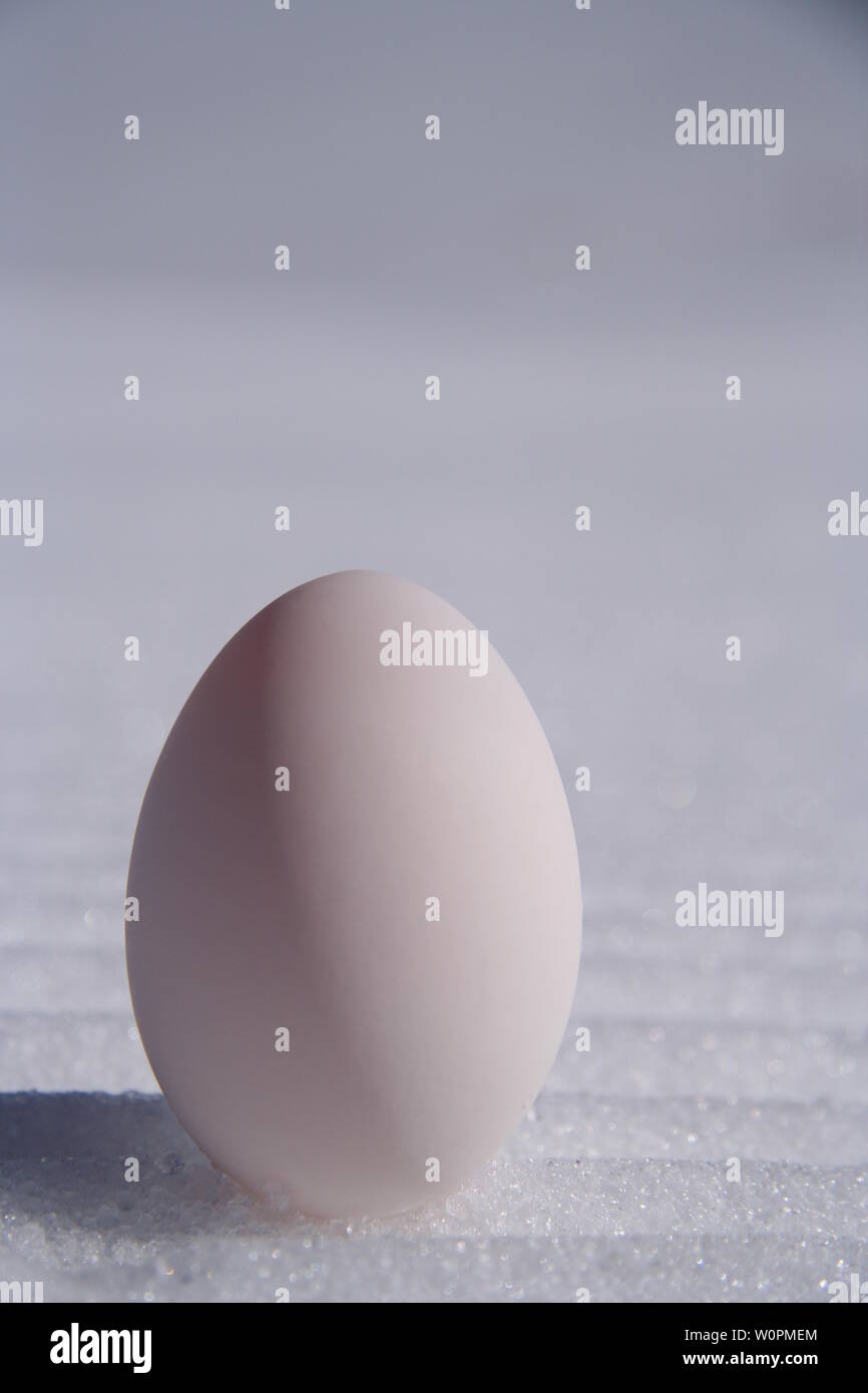 Duck egg white hi-res stock photography and images - Alamy
