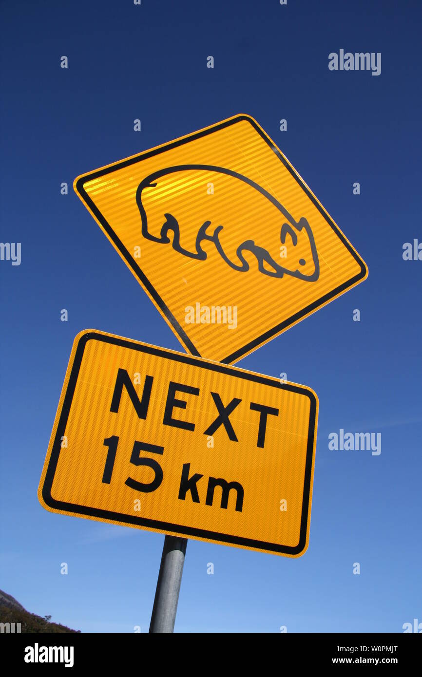 wombats crossing warning road sign Stock Photo - Alamy