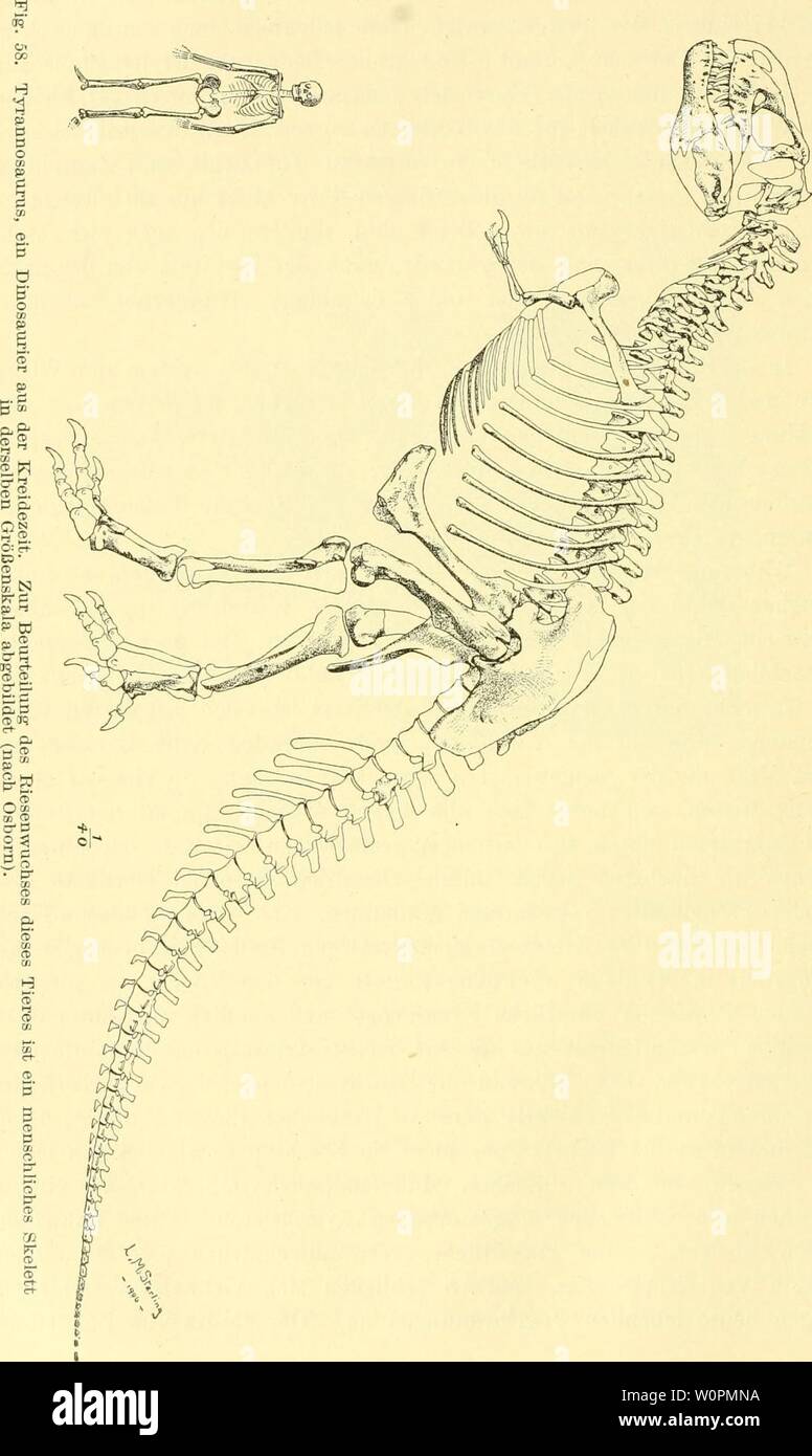 Leche wilhelm 1850 1927 hi-res stock photography and images - Alamy