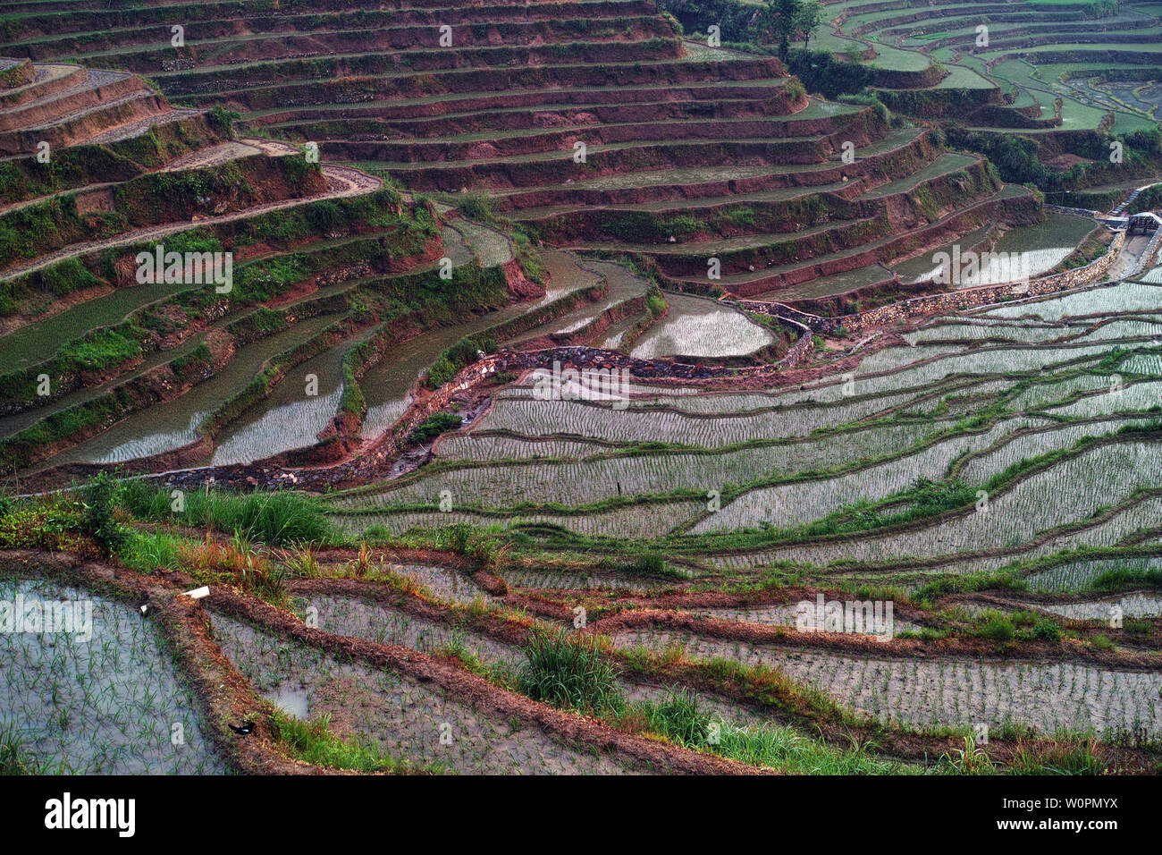 Terraced courtyards hi-res stock photography and images - Alamy