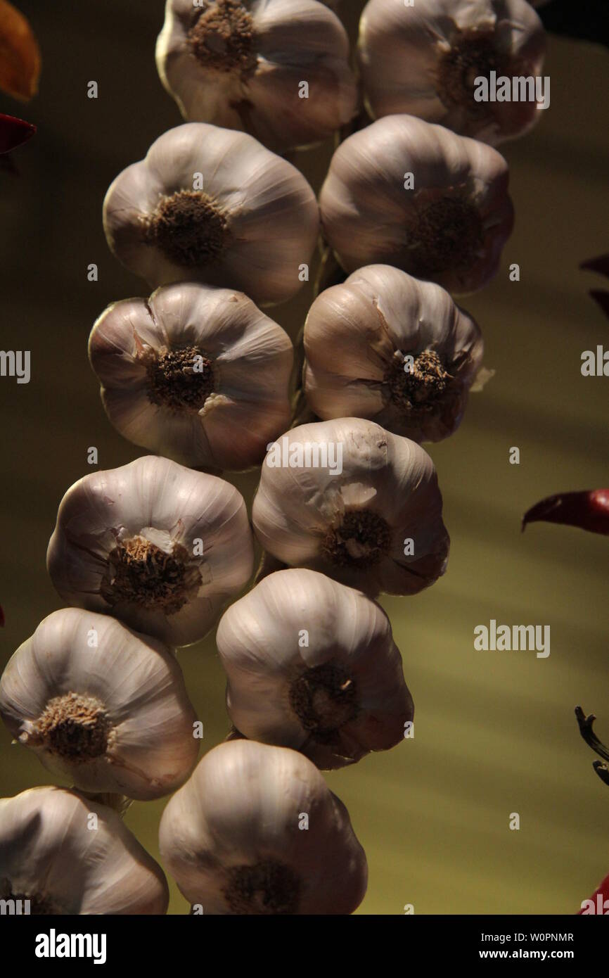 String garlic hi-res stock photography and images - Alamy