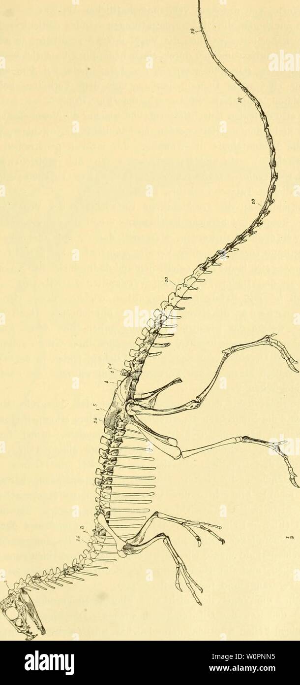 Leche wilhelm 1850 1927 hi-res stock photography and images - Alamy