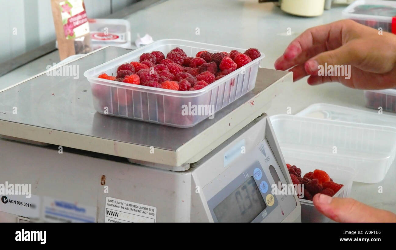 Worker fruit packing hi-res stock photography and images - Alamy