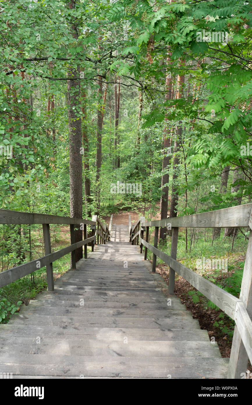 Wood plank stairs hi-res stock photography and images - Alamy