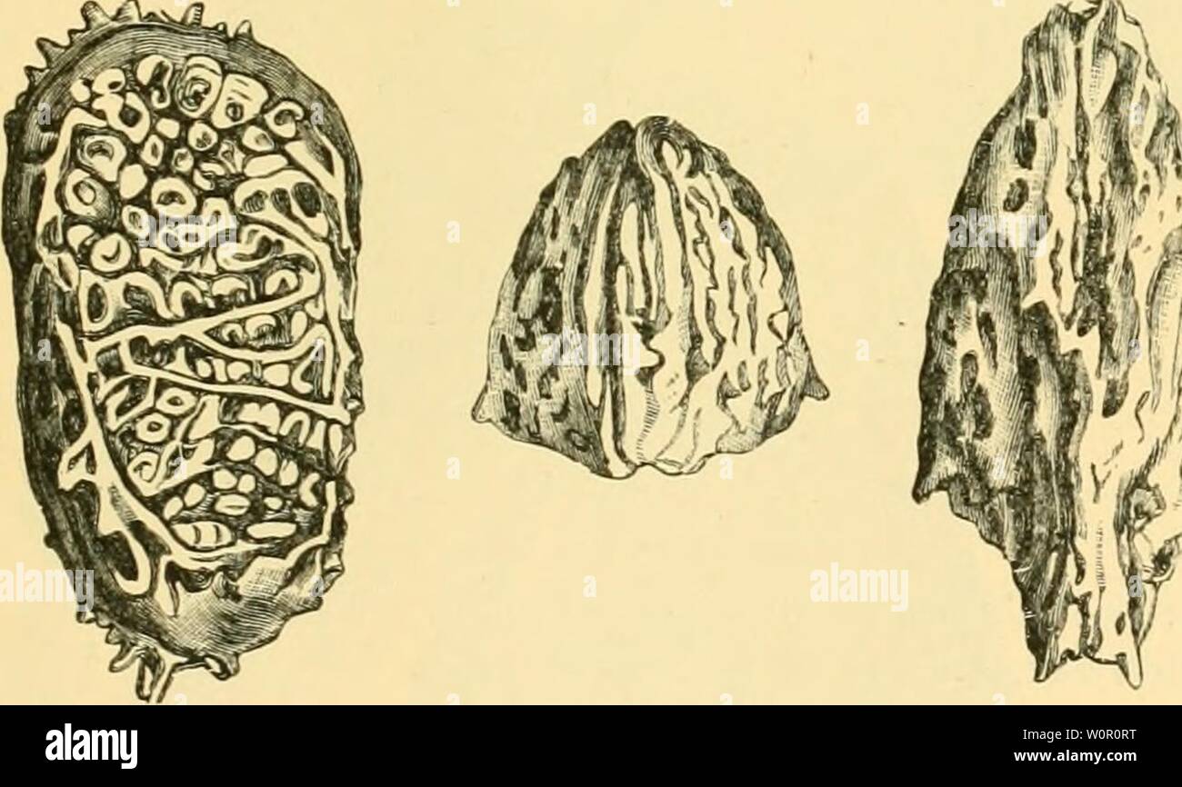 Clayey rocks hi-res stock photography and images - Alamy
