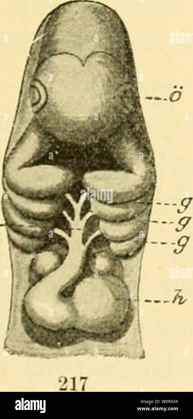 Ursprung s hi-res stock photography and images - Alamy