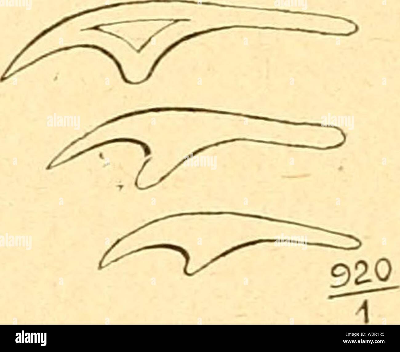 Franz graf von pocci hi-res stock photography and images - Alamy