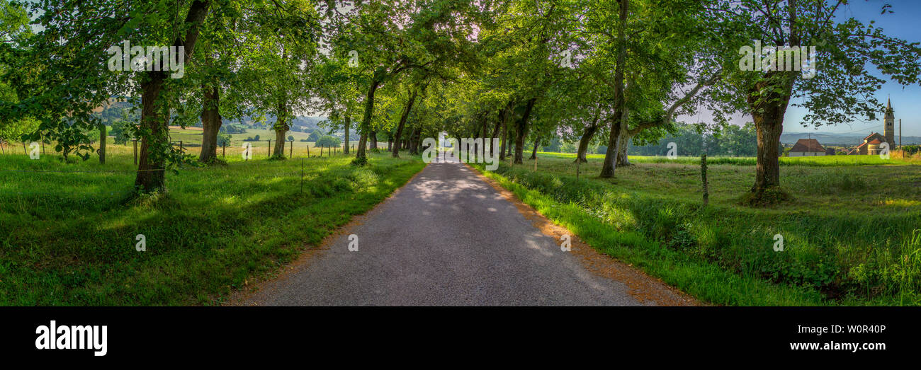Shady road hi-res stock photography and images - Alamy